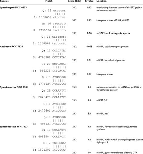 Search For Homologs Of Prochlorococcus Med4 Yfr1 Within The Genome Download Table