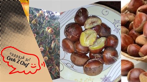 فااااااااكهه الشتااااااااااااء♡♡أبوandفروه Youtube