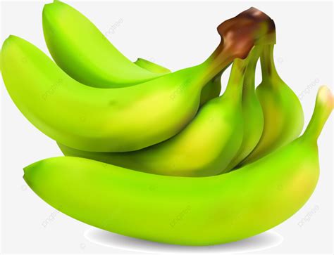 녹색 바나나 그림 벡터 바나나 과일 음식 Png 일러스트 및 벡터 에 대한 무료 다운로드 Pngtree