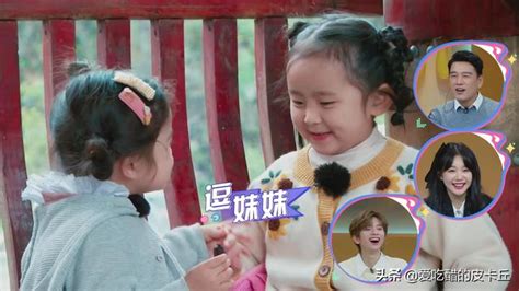 《我的小尾巴2》：一季的紅花心兒，第二季卻成了襯托他人的綠葉 每日頭條