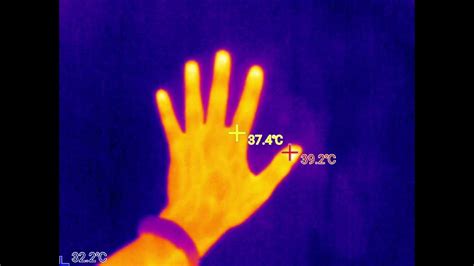 Тест тепловизора Tooltop T256 Youtube