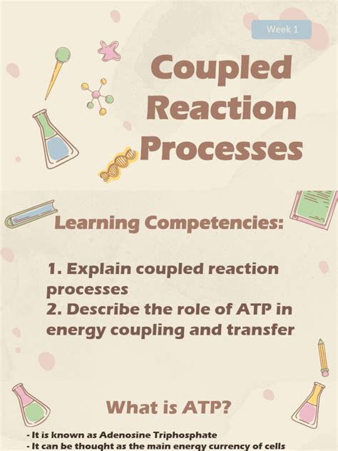 Coupled Reaction Processes Pdf Adenosine Triphosphate Chemical