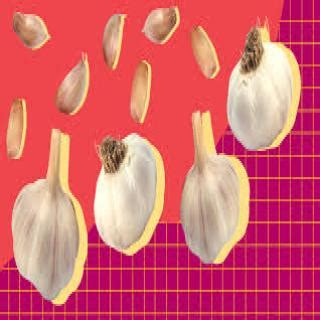 Vegetables Detection Object Detection Dataset By RoboUserFlow