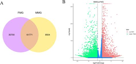 Schematic Representation Of Differentially Expressed Transcriptome