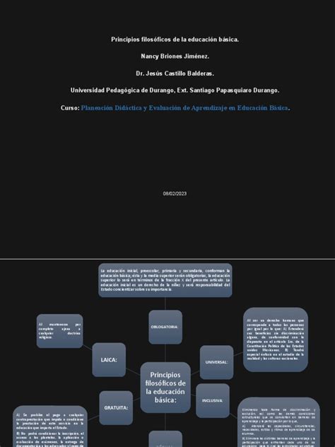 Principios Filosóficos De La Educación Básica Pdf Educación De La