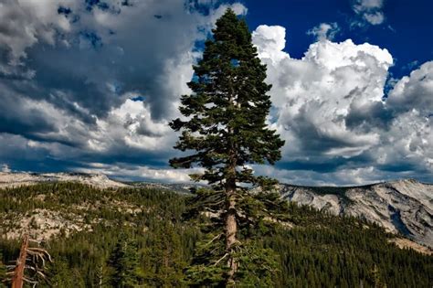 Cloud Symbolism 13 Meanings In Life Literature And Dreams