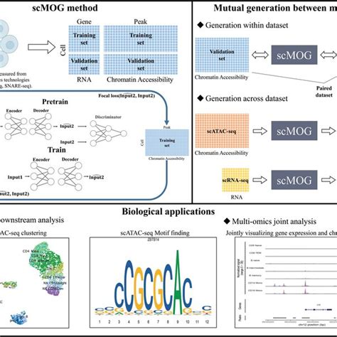 Performance Of Omics Types Download Scientific Diagram