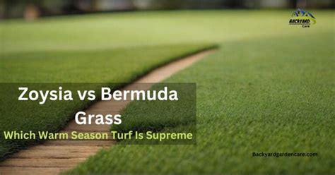 Fescue Grass Vs Bermuda Comprehensive Guide For Which Grass Variety
