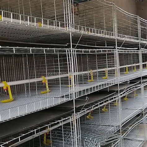 H Type Chicken Brooder Layer Cage 4 Layers For Chicks