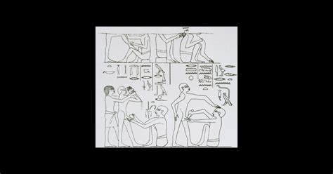 Ancient Circumcision E9050048 Science Sticker Teepublic