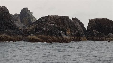 ホトバエ〜丸サゲ釣果情報 鵜来島高見渡船 進栄丸のブログ