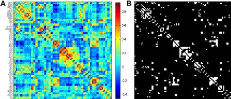 Inter Regional Correlation Matrix And Its Functional Connectivity