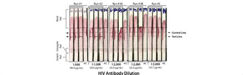 Lateral Flow Strips Showing Detection Of Four Different Hiv Antibody