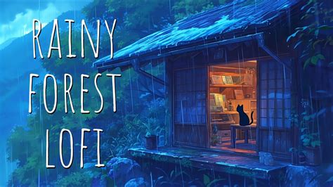Rainy Forest Retreat 🐾 Cozy Lofi Soundscapes For Relaxation Youtube