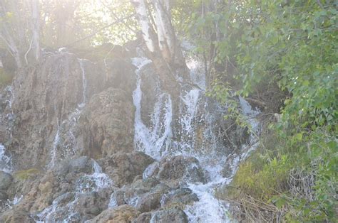 Lower Peace Freshwater Contaminant Reduction Mighty Peace Watershed