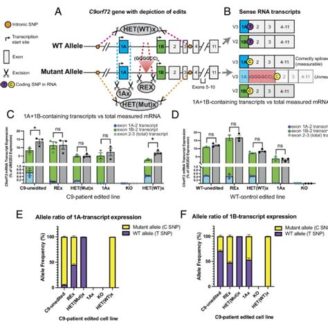 Genetherapy Crispr Somatic Cell Genome Editing Consortium