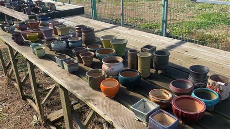 다육중고화분세트 세트당8종구성 26000원 다육중고화분 다육이화분 다육화분 Youtube