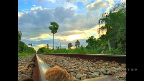 বগুড়া। তালগাছ এক পায়ে দাঁড়িয়ে। Youtube