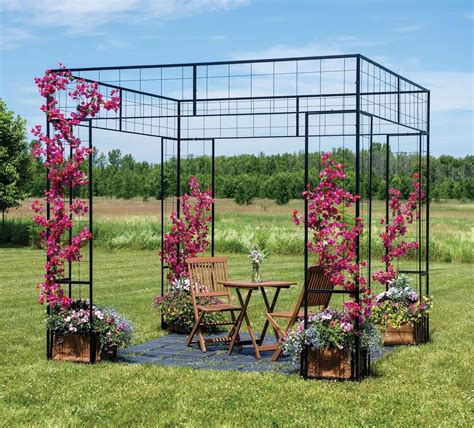 Trellis Designs