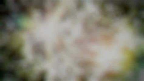 Bycicle Accident Eporner