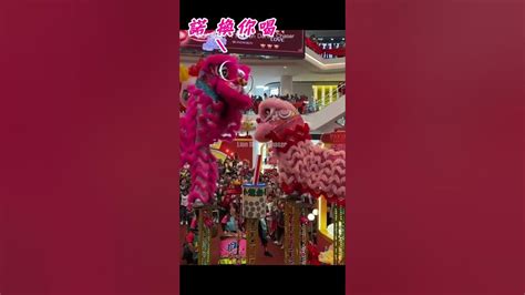 【珍奶誰不愛】大馬舞獅團賀新年 兩獅竟喝珍奶超古錐｜馬來西亞｜舞龍舞獅｜表演｜新年｜珍珠奶茶｜逗趣 Liondancechaser