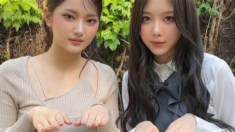 꽁꽁 얼어붙은 한강 위로 토끼🐰랑 고양이🐈‍⬛가 걸어다닙니다 ️ 네이버 Tv
