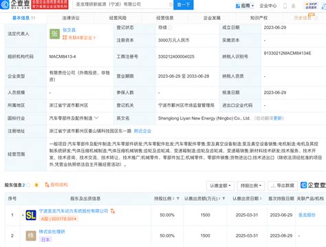 圣龙股份参设新能源公司，业务含新材料技术研发制造显示齿轮