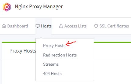 How To Combine Nginx Proxy Manager With Cloudflare To Access Your