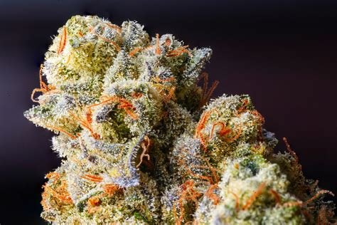 C4B CBD H4CBD Comment choisir le meilleur cannabinoïde pour gérer