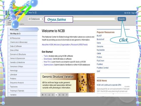 Introduction To Ncbi Pptx Databases Computer Software And