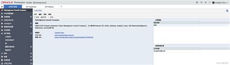 oracle项目管理之primaveraunifier组织 业主 合作伙伴公司 csdn博客