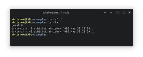 delete all files of a directory in linux command line