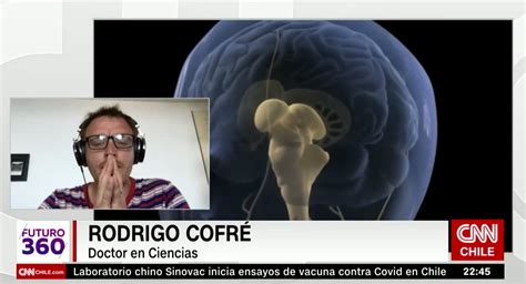 Drogas Psicodélicas Y Uso Terapéutico ¿cómo Amplifican La Complejidad