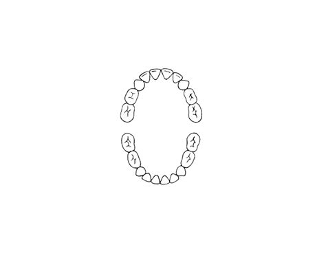 Primary Dentition Palmer Notation Dental Quiz