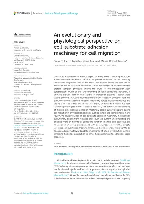 Pdf An Evolutionary And Physiological Perspective On Cell Substrate