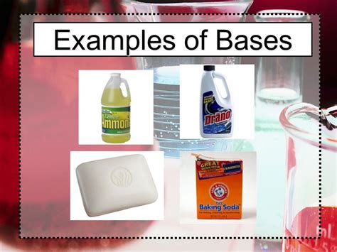 Which Are Examples Of Bases