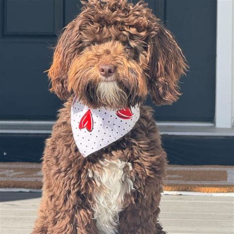 Sunscreen Zipper Pouch Large 13x 9 Summer Bag Pool Party Bag