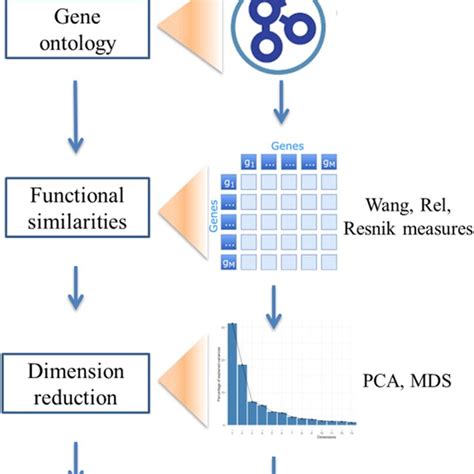Graphical Representation Of Workflow Of Dgh Go Mds Multidimensional