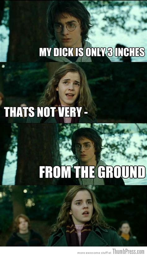 Horny Harry Hilarious Harry Potter Memes That Make Hermoine Cringe Pics