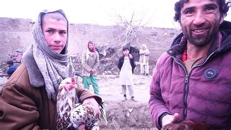 بازار بگرام روز جمع تمام معلومات که در باره خروس کلنگی باید دانست Afghan Fighter Aseel Youtube