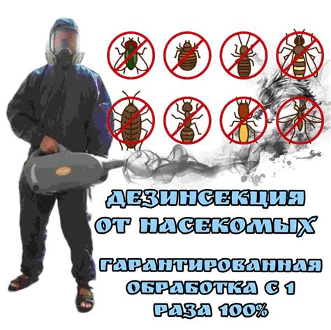 Дератизация, Дезинсекция, Дезинфекция в Москве | Фортуна-Дез