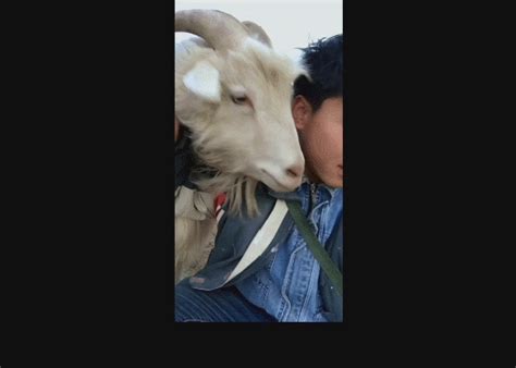 Filme Von Arbeiter Innen Auf Der Großen Leinwand