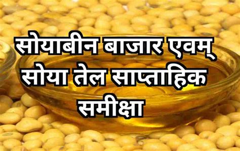 सोयाबीन साप्ताहिक समीक्षा एवम् सोया तेल रिपोर्ट आगे बाजार में क्या
