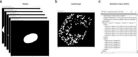 Types Of Data To Be Imported Into The Analysis Project A 8 Bit Tiff
