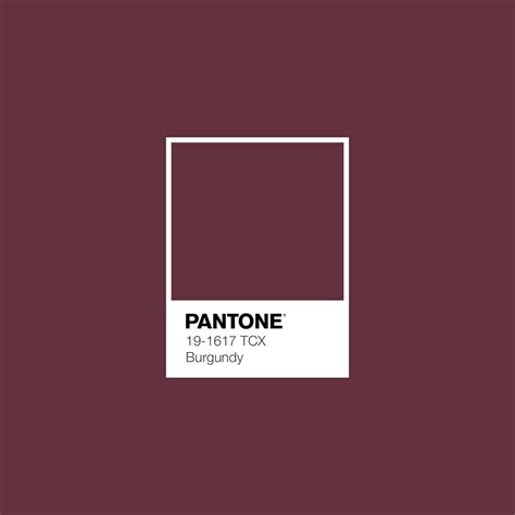 Pantone Color For Burgundy 221