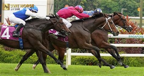 Daily Horse Race News Singapore Malaysia Macau Hongkong