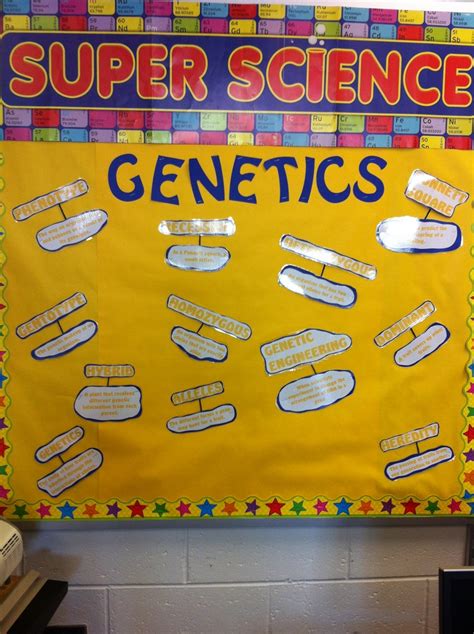 Genetics Bulletin Board Classroom Ideas