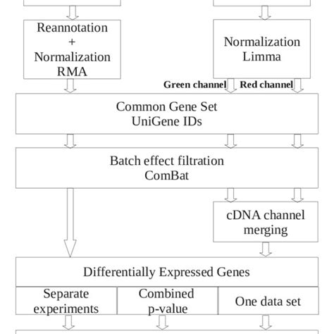 Scheme Of The Proposed Microarray Data Integration Procedure
