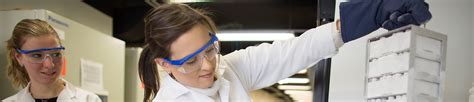 Research Training Icahn School Of Medicine