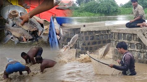 चढ़ने वाली मछली कैसे पकड़े 😱चढणीचे मासे Monsun Fishing Chadniche Mase